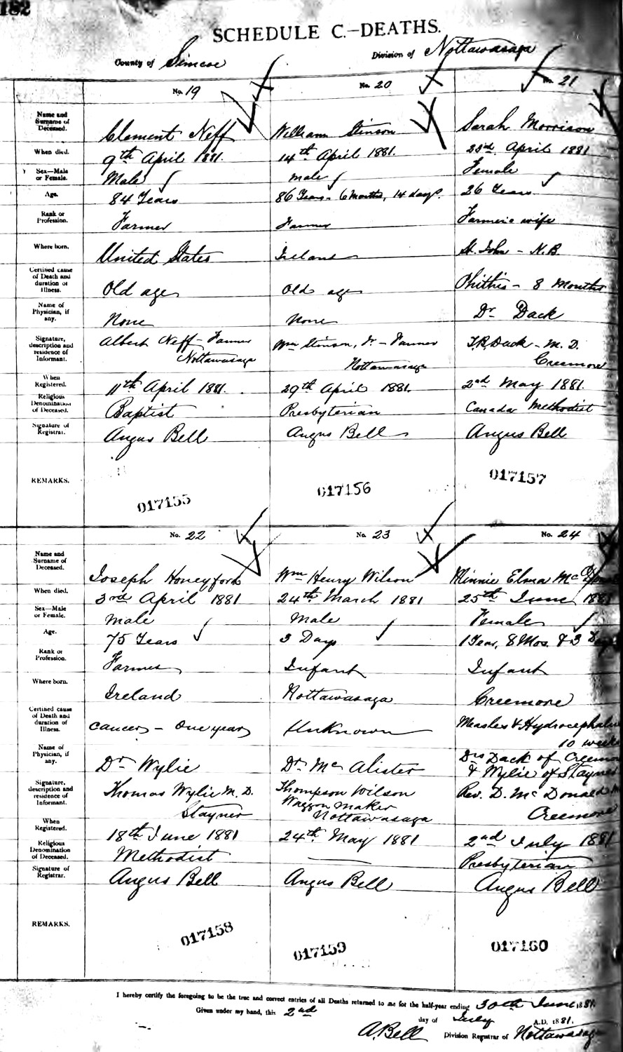 Emilia Sophia Larson